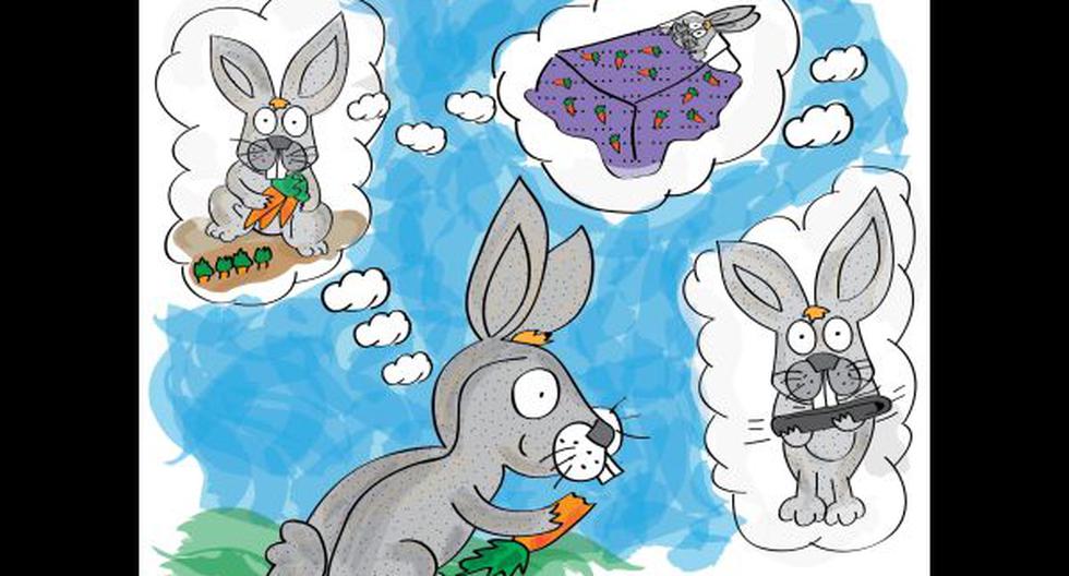 Un cuento Dominical: "Conejo Alejo" | ELDOMINICAL | EL COMERCIO PERÚ