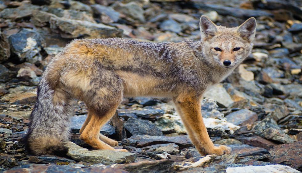 Ushuaia: Claves para recorrer los lugares icónicos del fin del mundo ...