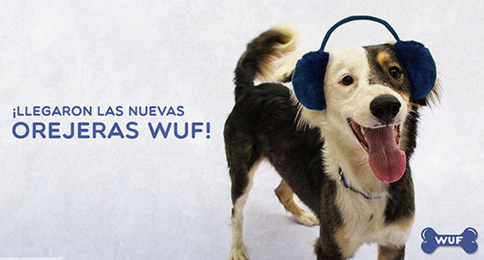 ¡Llegaron las nuevas orejeras WUF! | WUF | EL COMERCIO PERÚ