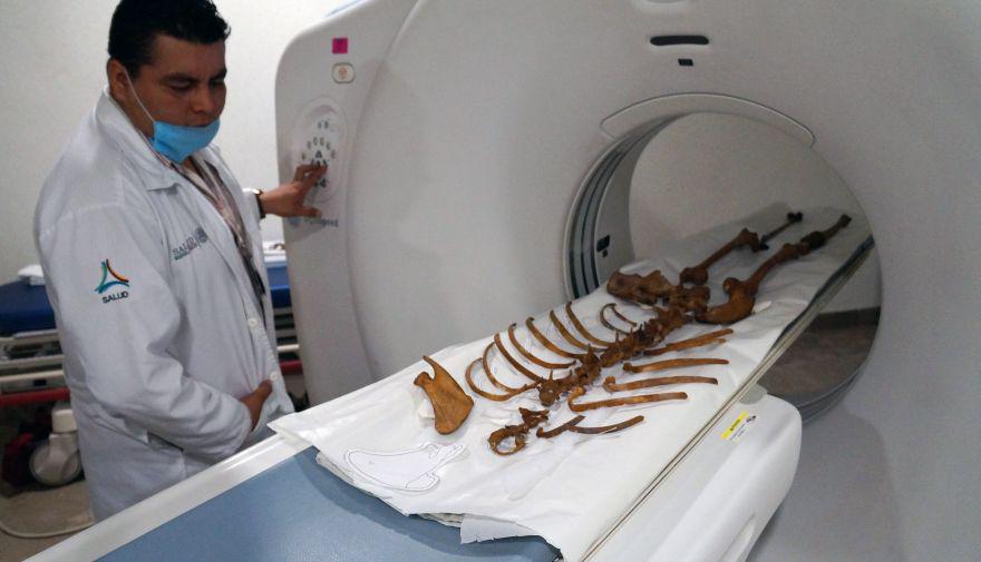 Naia, el esqueleto humano más antiguo de América, fue madre y ...