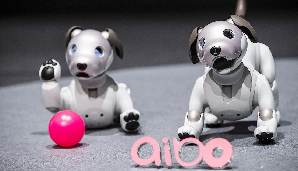 Robots: Aibo, el perro con inteligencia artificial de casi US$ 2.000 ...