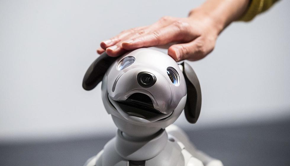 Robots: Aibo, el perro con inteligencia artificial de casi US$ 2.000 ...