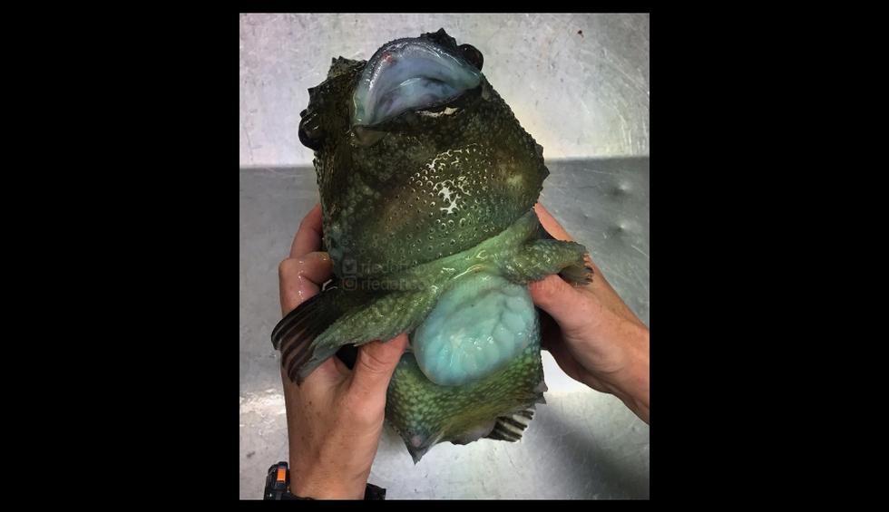 Roman Fedortsov, el pescador que comparte en Instagram las imágenes de ...