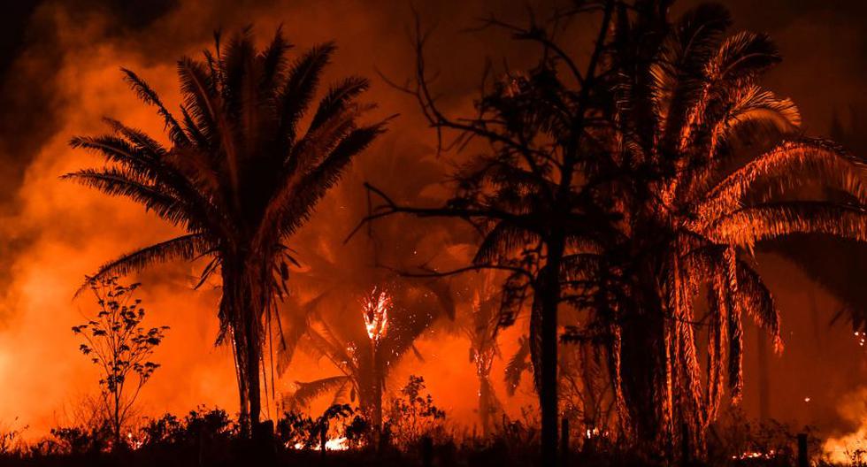 Incendios en el Amazonas | Brasil: deforestación en la Amazonía en el ...
