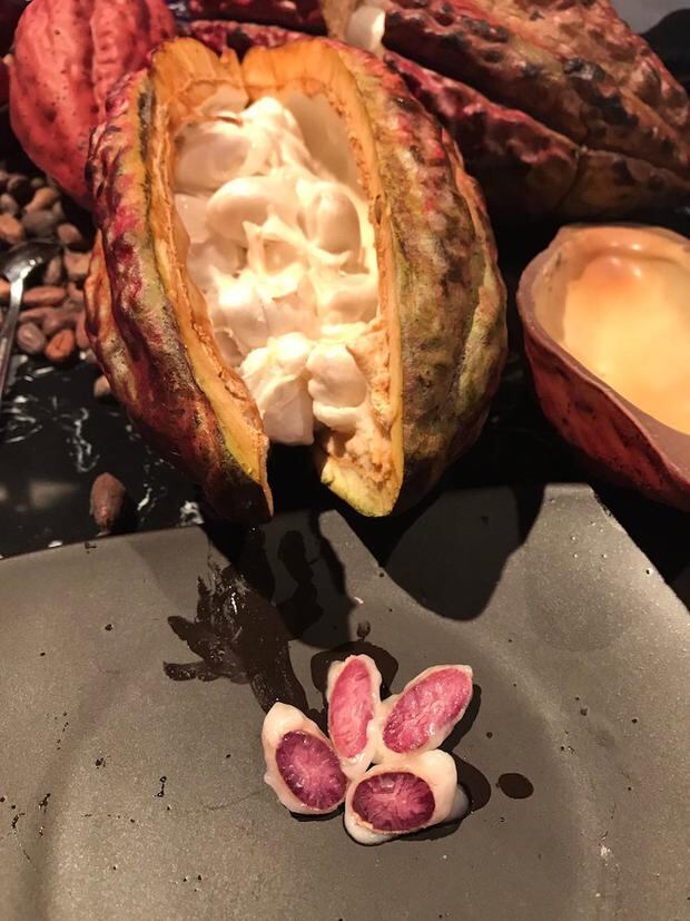 Una nueva variedad de cacao surge en la industria del chocolate | ECONOMIA | EL COMERCIO PERÚ
