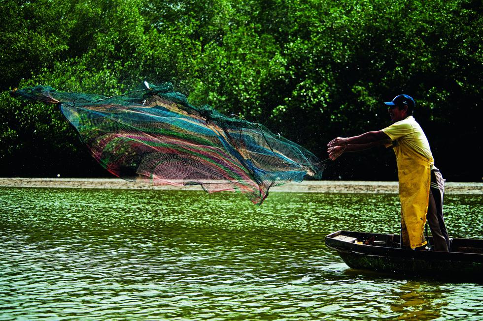 Los 30 años del Santuario Nacional Los Manglares de Tumbes | PERU | EL ...