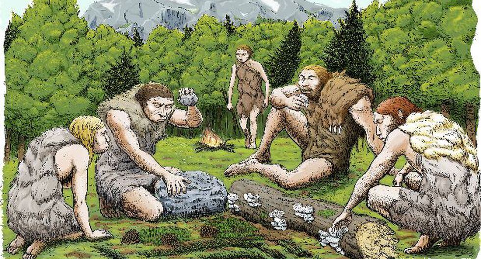 Ciencias: Los neandertales se automedicaban | NOTICIAS EL COMERCIO PERÚ