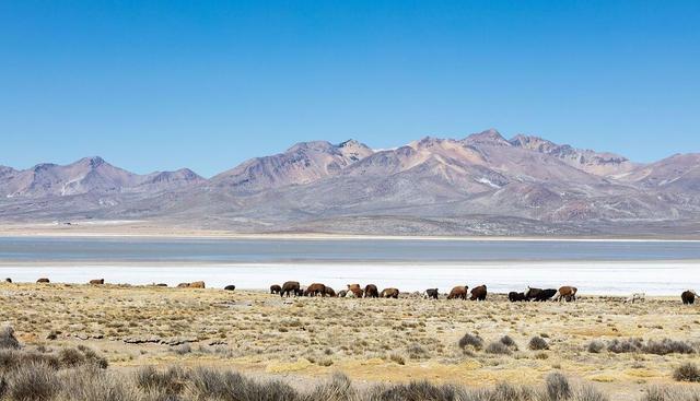 Los diez lagos y lagunas más impresionantes del Perú | FOTOS | EL ...